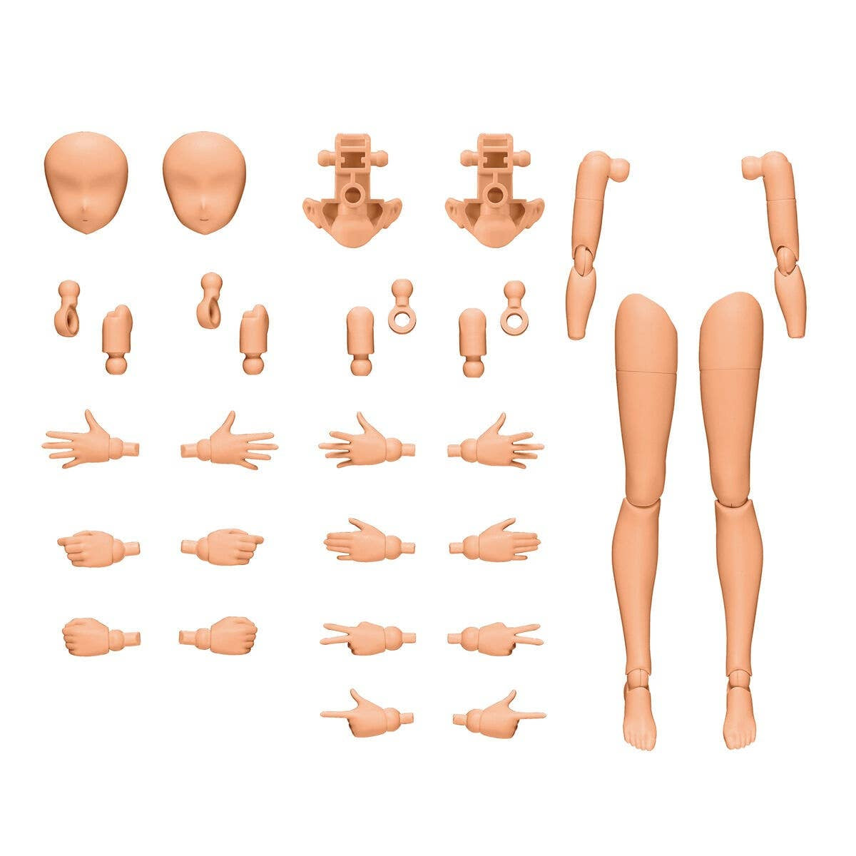 30 Minutes Sisters - 30MS Optional Body Parts Arm Parts & Leg Parts [C ...